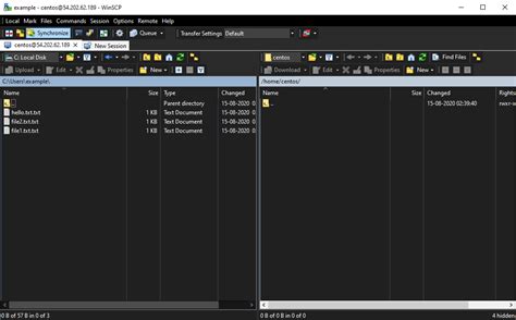 How To Transfer Files To AWS EC2 Instance Using WinSCP In 3 Easy Steps