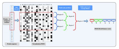 schematic diagram of pssm position specific scoring matrix mlab download scientific diagram