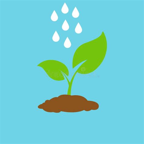 The Tree That Grows From Seed Is A Big Tree With Green Color And The