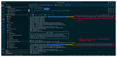 Flutter Flutter Native Splash
