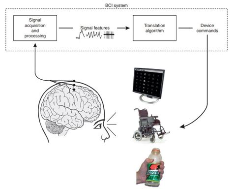 brain computer interfacebci artlab
