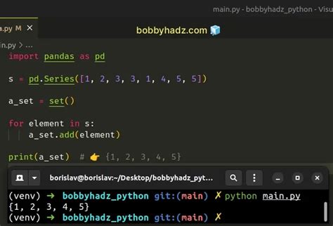 How To Create A Set From A Series In Pandas 5 Ways Bobbyhadz