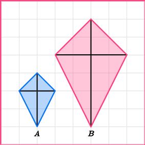 Scale Factor GCSE Maths Steps Examples Worksheet