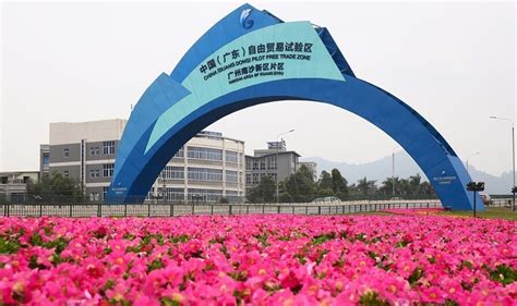 南沙自贸区优化营商环境打造大湾区三创新高地