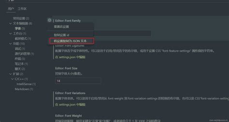 自定义vscode软件字体 vscode 字体设置 csdn博客