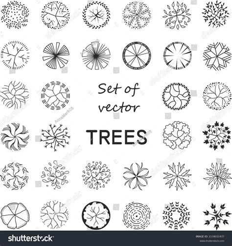 Trees Master Plan Tree Architectural Floor Stock Vector Royalty Free