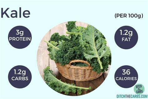 10 High Protein Low Carb Vegetarian Foods Protein Charts 31 Recipes