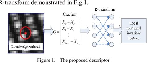 figure 1 from rotation invariant texture image classification using r transform semantic scholar