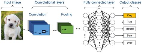 electronics free full text cnn2gate an implementation of convolutional neural networks