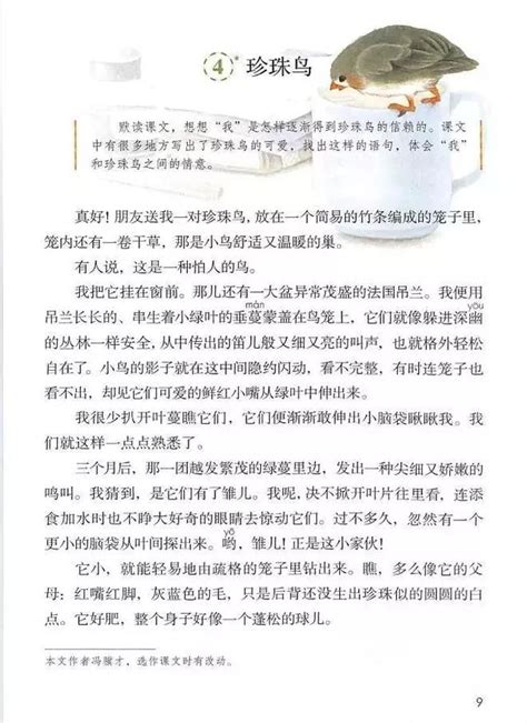 部编版小学五年级语文上册第4课珍珠鸟知识点 图文解读 江苏教学资源网 苏学网
