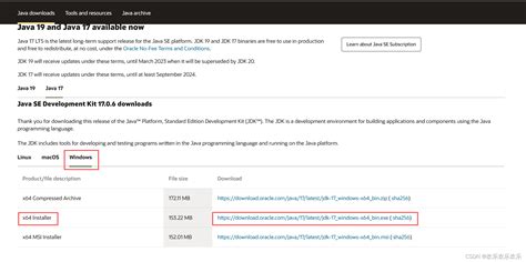 java17安装及环境配置搭配idea java17环境配置 csdn博客