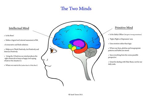 Why Is It Called The Brain At Chris Wall Blog