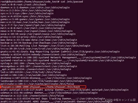 linux【shell命令以及运行原理】【权限】 linux给shell文件可执行的权限 csdn博客