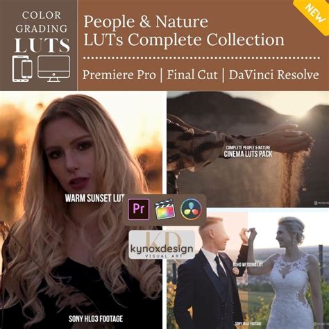 Video Filter LUTs People Nature LUTs Collection For Adobe Premiere