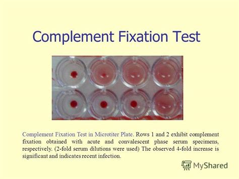 Презентация на тему virological tests an overview diagnostic methods in virology 1 direct