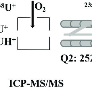 Schematic Of ICP MS MS As Related To The Ion Molecule Reactions For