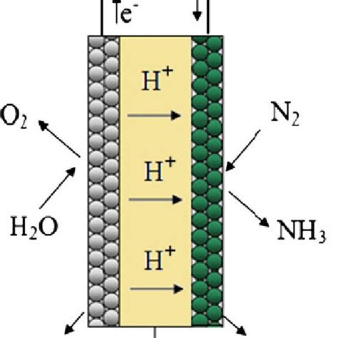 Schematic Diagram Of The Ammonia Synthesis Device Using H 2 O And N 2