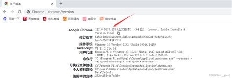 解决selenium从配置到运行报错再到闪退 selenium打开浏览器闪退 csdn博客
