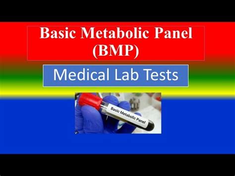 Basic Metabolic Panel BMP Test What Is Uses Need Risk
