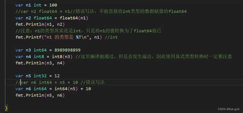 【golang】go入门：go语言执行过程分析 andand 常见数据类型 基本数据类型 csdn博客