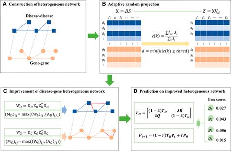 frontiers pgagp predicting pathogenic genes based on adaptive network embedding algorithm