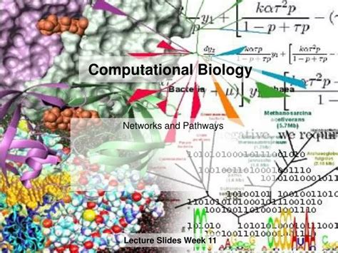 ppt computational biology powerpoint presentation free download id 4585696