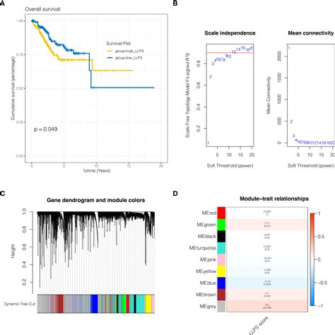 Frontiers Single Cell Sequencing Analysis And Transcriptome Analysis