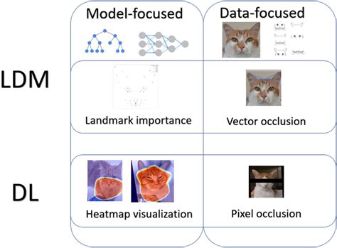 demonstration of the different explainability approaches used in this download scientific