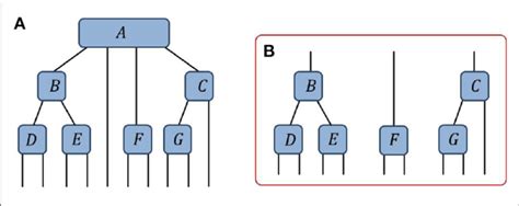 a an example of a tree tensor network ttn here composed of 7 download scientific diagram