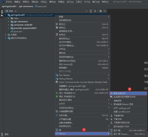 springcloud系列（5） springcloud微服务工程公共部分提取 springcloud公共模块 csdn博客