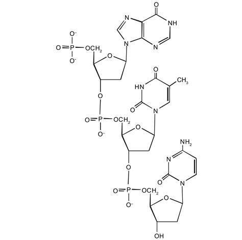 19 2 Nucleic Acid Structure The Basics Of General Organic And