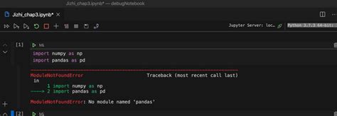 【已解决】vscode中调试notebook的ipynb文件中的python代码 在路上