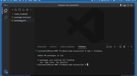 add firebase sdk via npm javascript