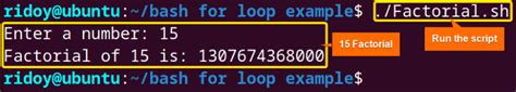 10 Common Bash For” Loop Examples Basic To Intermediate Linuxsimply