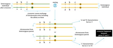 Techniques NC DNA Day Blog