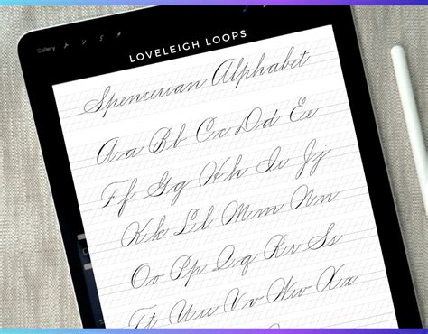Beginner S Guide To The Spencerian Script Tutorial Loveleigh Loops