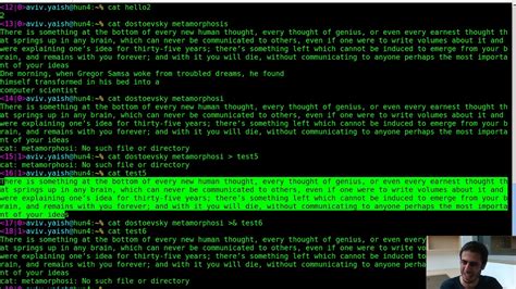 shell tutorial part 14 advanced output redirection in tcsh youtube