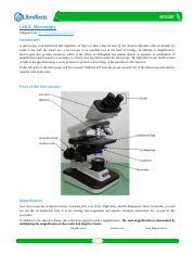 Microscopy And Cells 2 Converted Docx Lab 4 Microscopy Adapted From