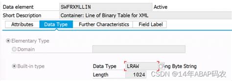 abap lraw类型转换为xstring再转换为string prefixed length field abap lraw csdn博客