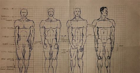 El Blog De Uno Seguimos Con Las Proporciones Del Cuerpo Humano