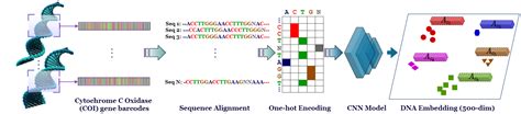 fine grained zero shot learning with dna as side information papers with code