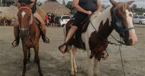 Cartagena Kolumbien Reiten Am Strand Mittagessen GetYourGuide