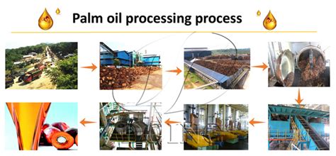An Overview Of Palm Oil And Palm Kernel Oil Production Process