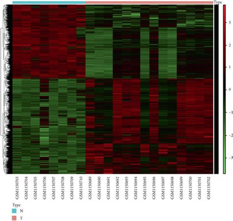 Hierarchical Clustering And Heat Map Analysis Of Differentially