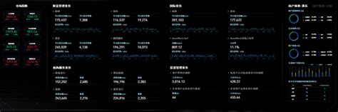 大屏可视化 平台系统开发 程序员客栈