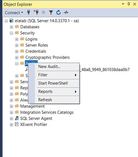 SQL Server Audit Feature Set Up
