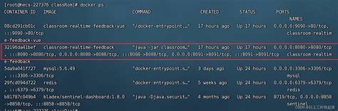 docker部署vue springboot项目 docker部署springboot vue csdn博客