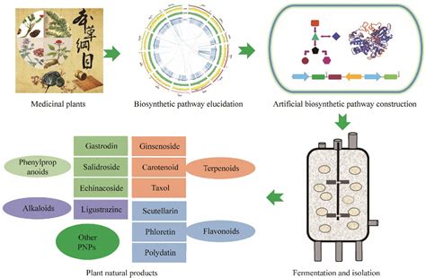 Figure 1 From Advances In Microbial Synthesis Of Plant Natural