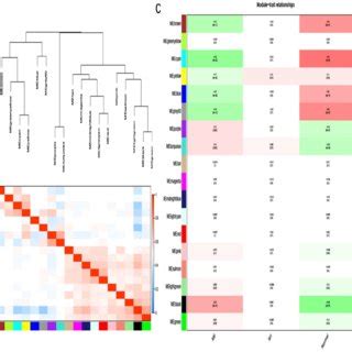 A B Hierarchical Clustering Of Heat Maps And Adjacent Modules Of
