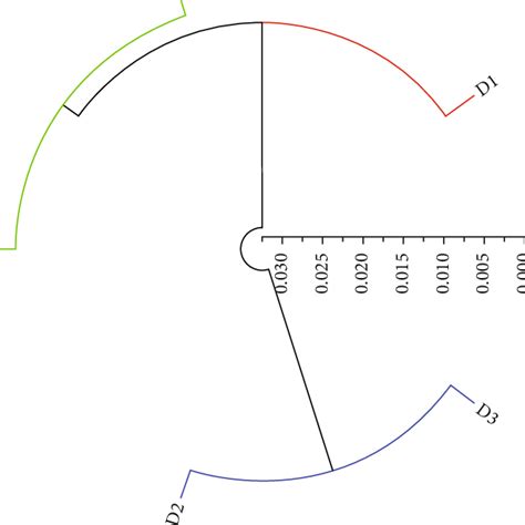 Circular Hierarchical Clustering Dendrogram Of Growth Performance